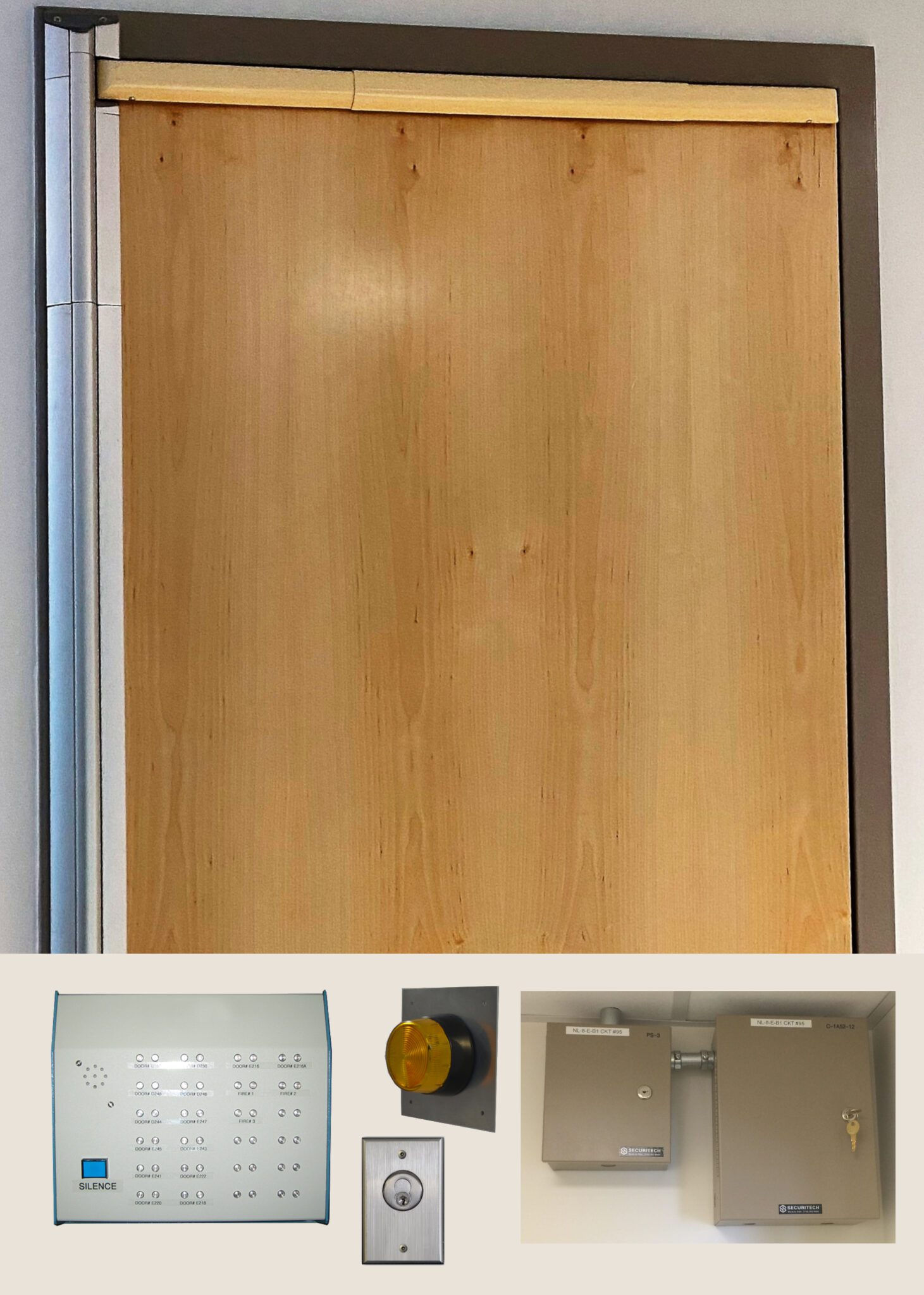 Behavioral Healthcare Facilities | Securitech