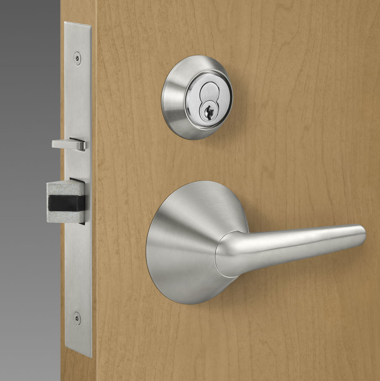 Behavioral Healthcare Facilities | Securitech